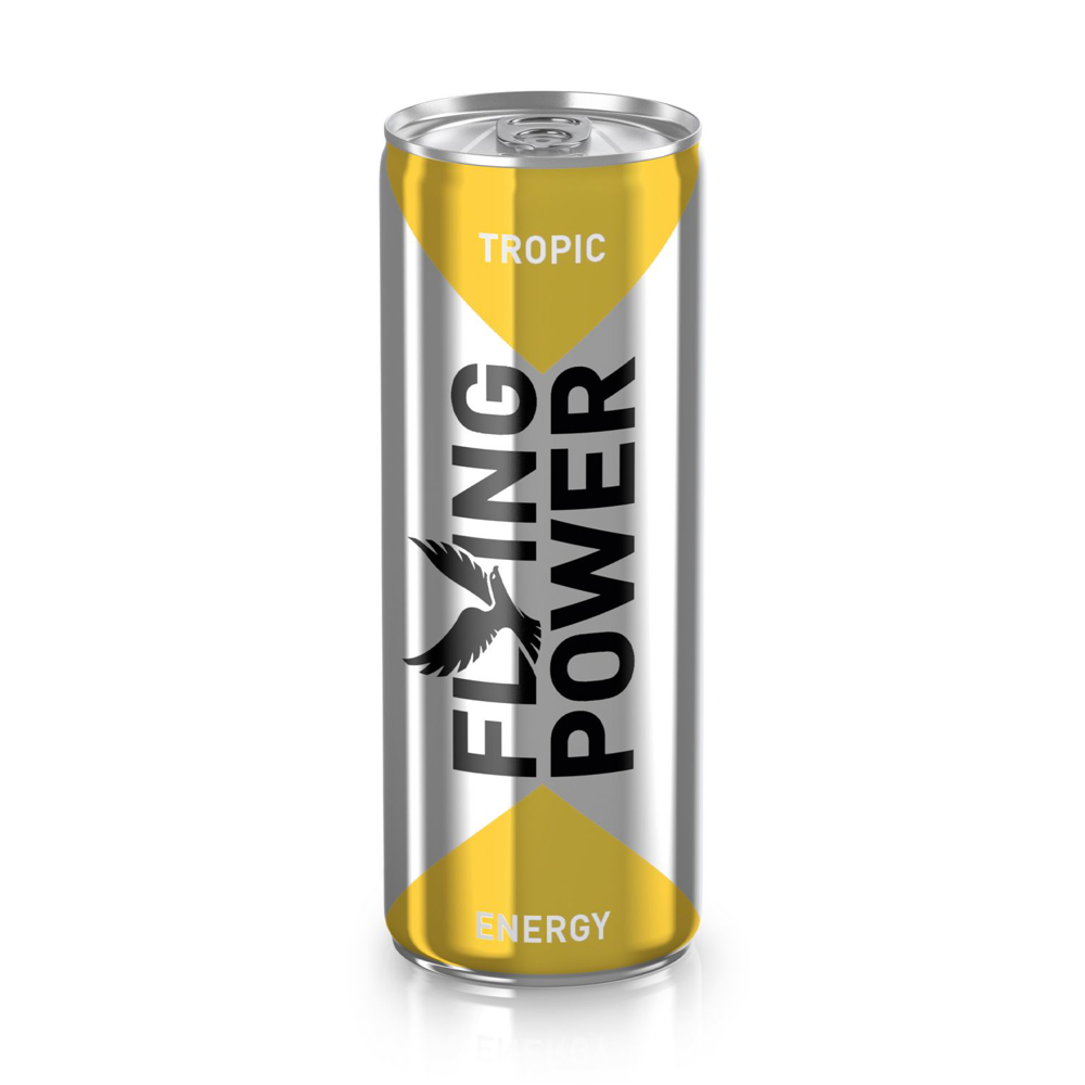 ROKSH Sport- & Energy Drinks FLYING POWER Energy Tropic 250ml