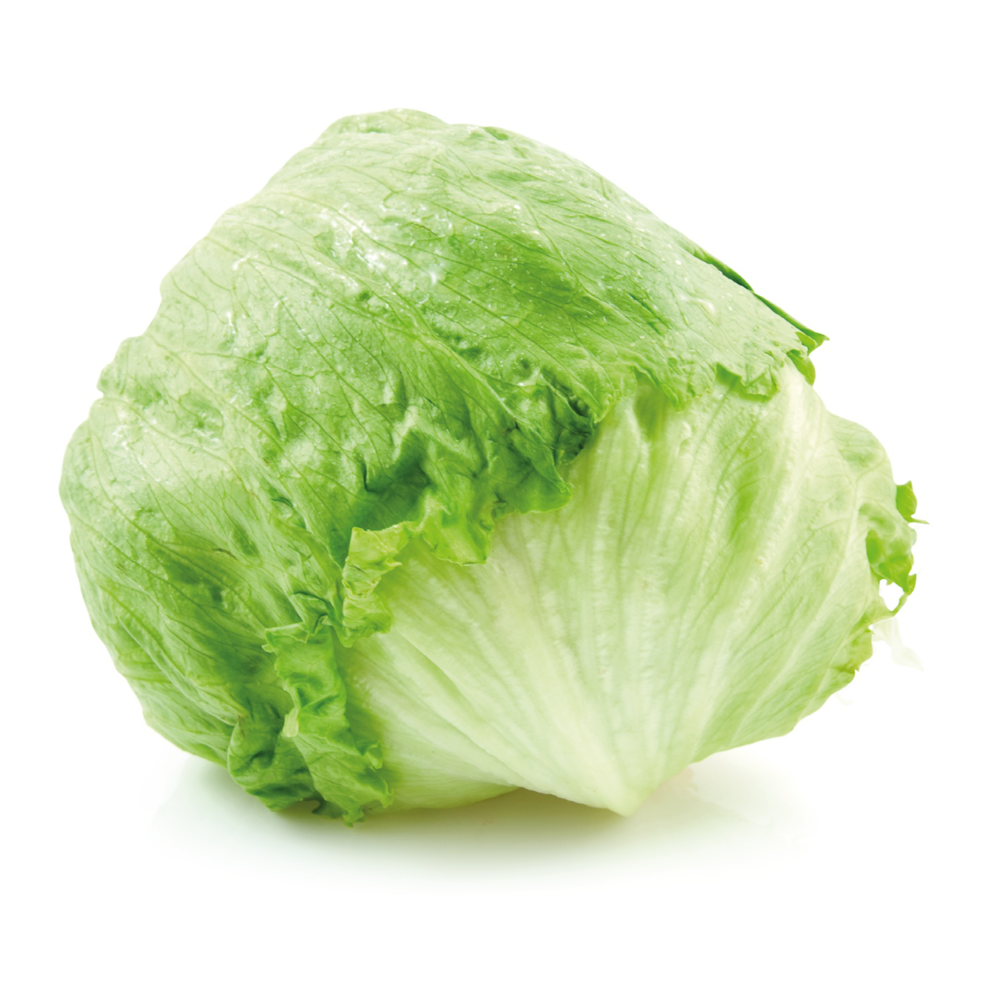 ROKSH Gemüse HOFER MARKTPLATZ Eisbergsalat