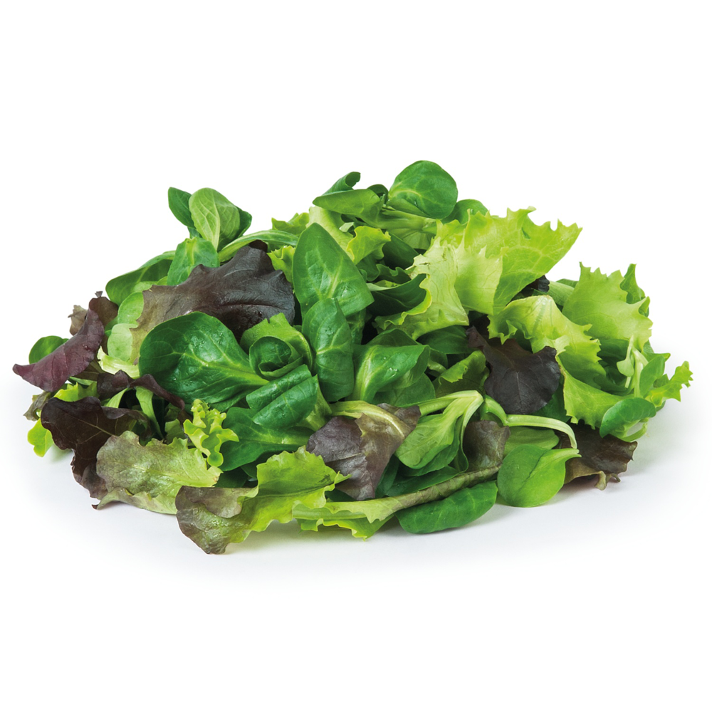 ROKSH Gemüse BIO NATURA Bio Pflücksalat Mixsalat 100g